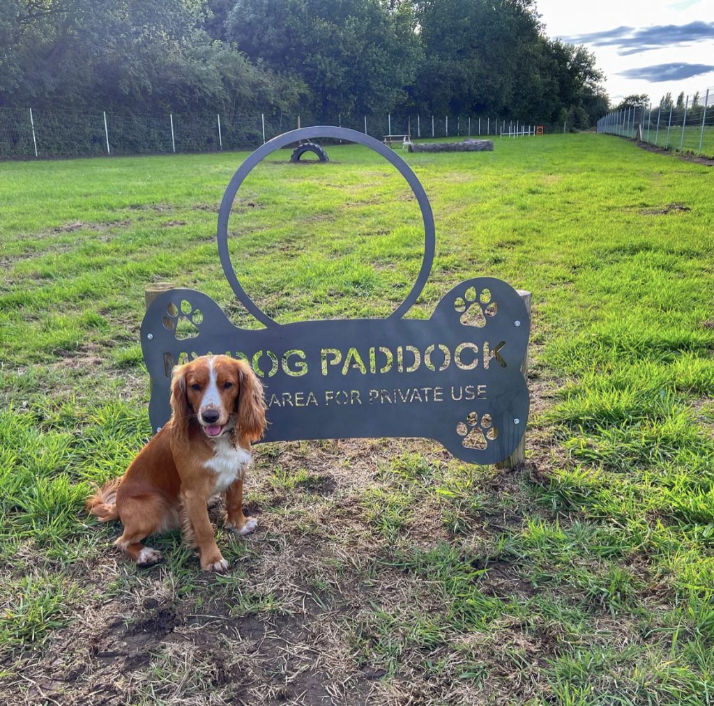 Locations – My Dog Paddock